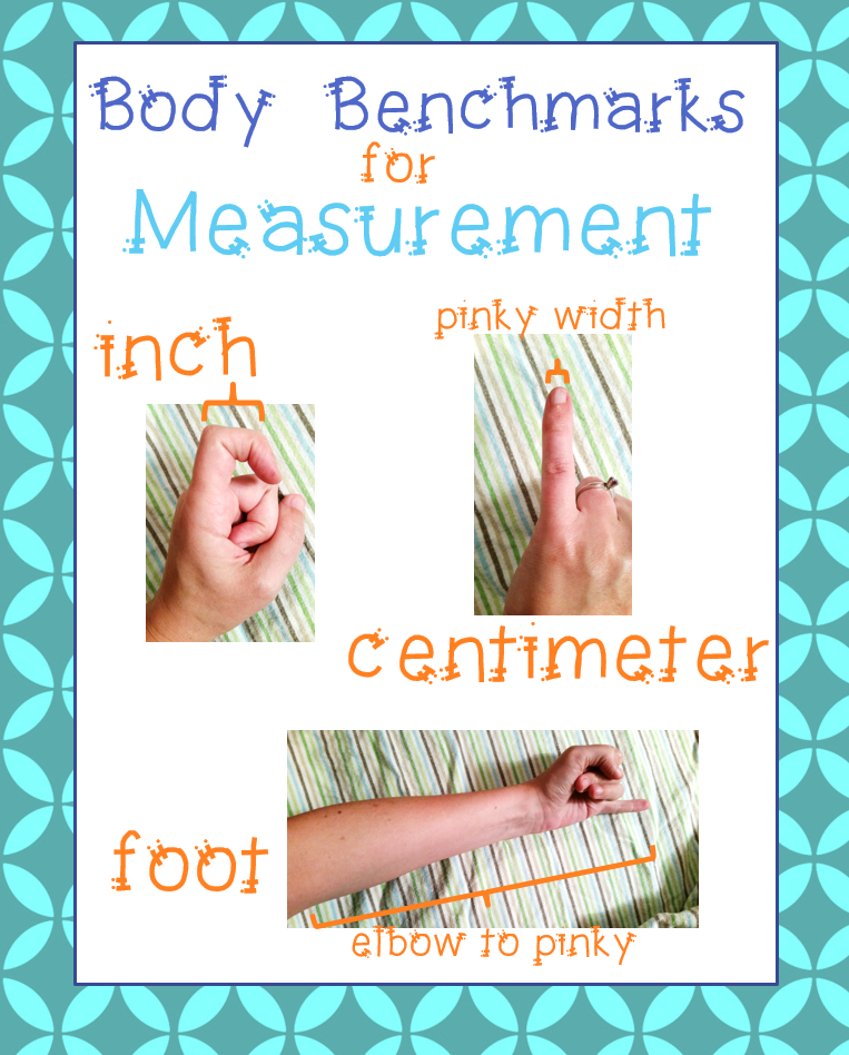 body-benchmarks - The Classroom Key
